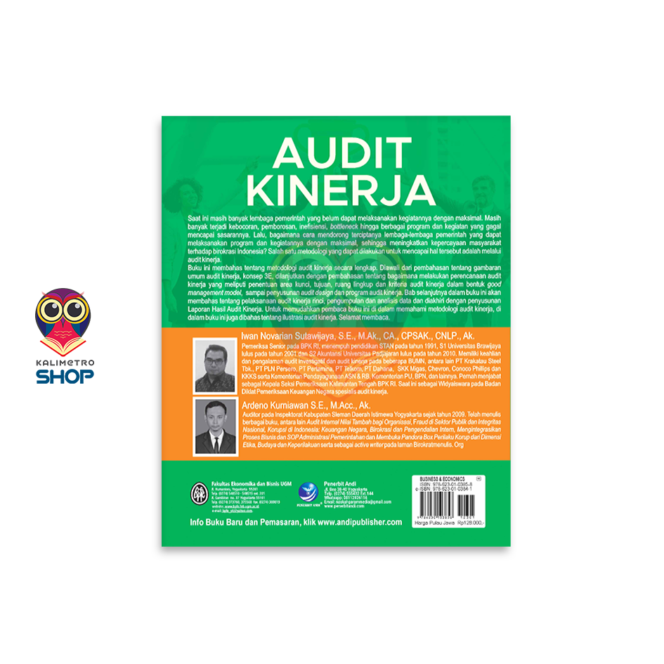 Audit Kinerja – Iwan Novarian Sutawijaya Dan Ardeno Kurniawan – Andi ...
